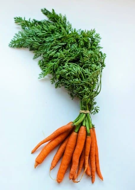 Can You Grow Carrots Hydroponically - A How to Guide and More